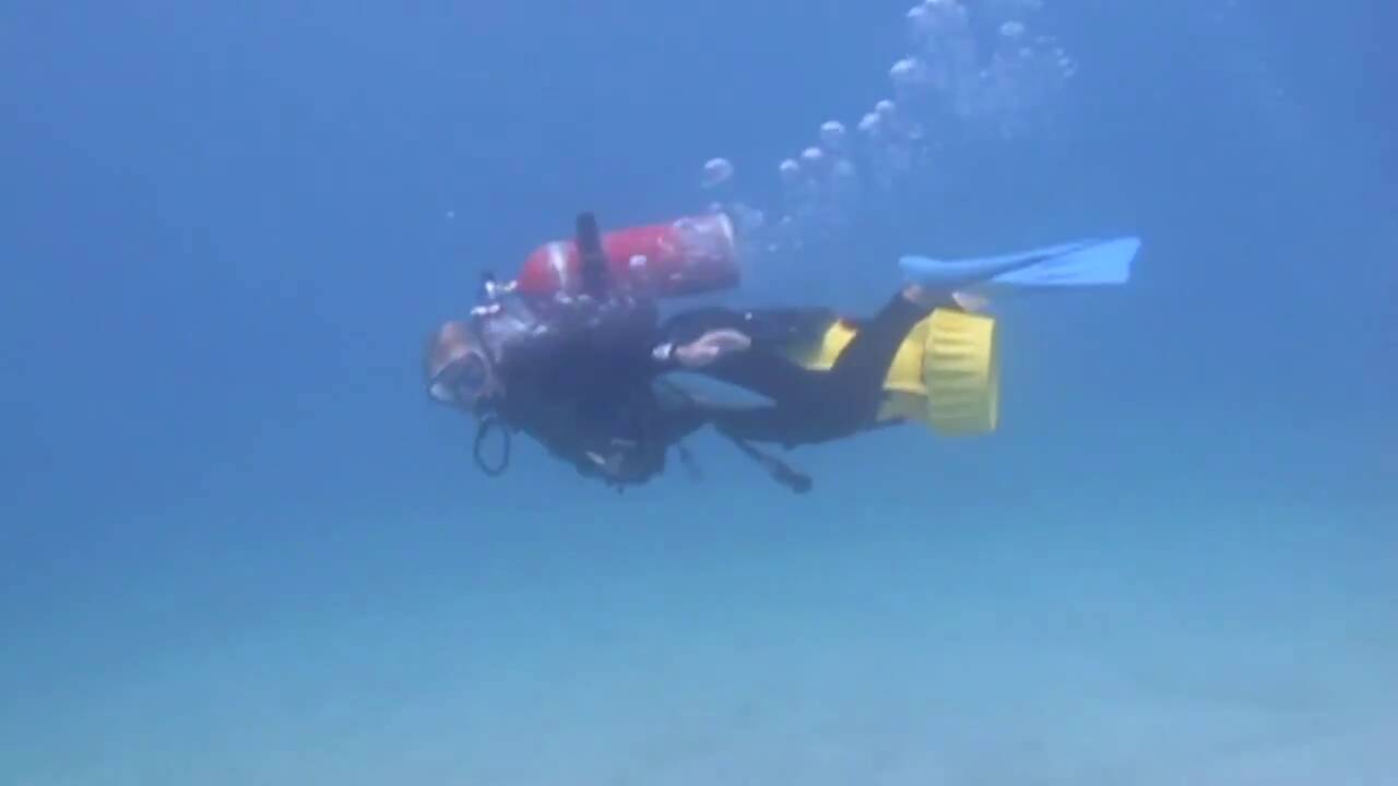 Maui Dreams Dive Company